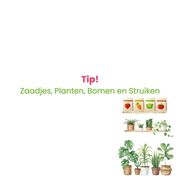 Zaadjes Planten Bomen en Struiken - Zero Waste Apeldoorn